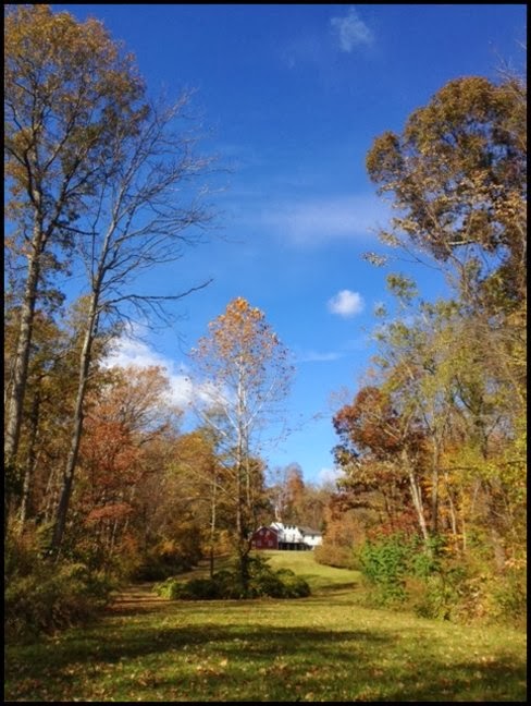 Content in a Cottage: Beautiful Fall Weather @ My Cottage