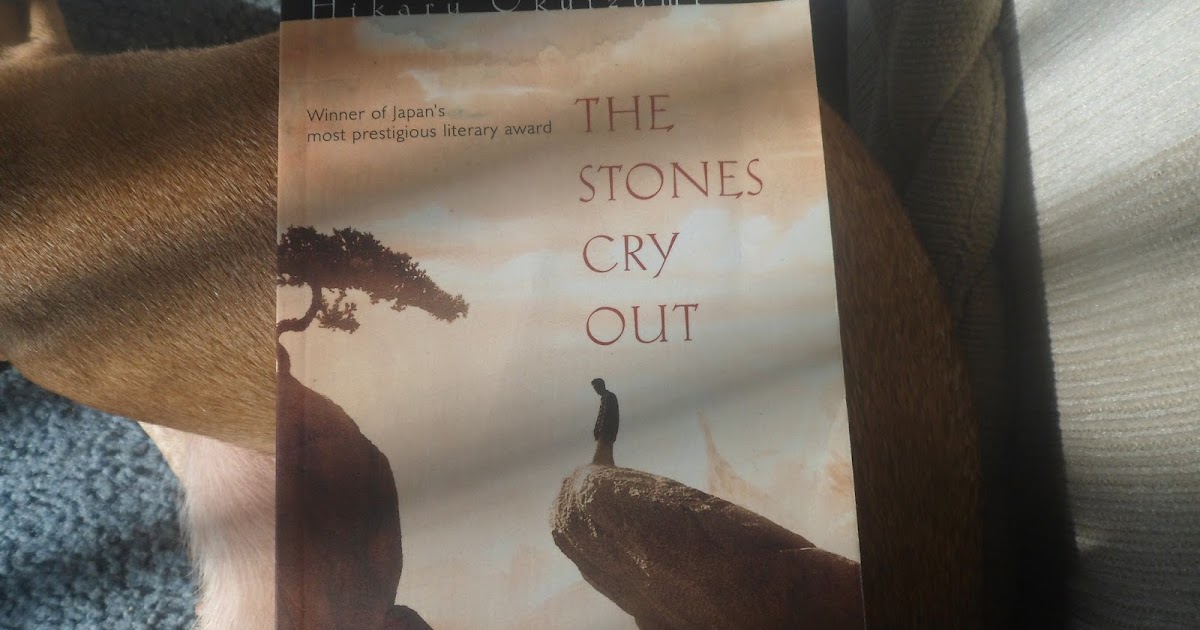 DeelaSees: BOOKS! (The Stones Cry Out + Who Will Cry for the Little Boy?)