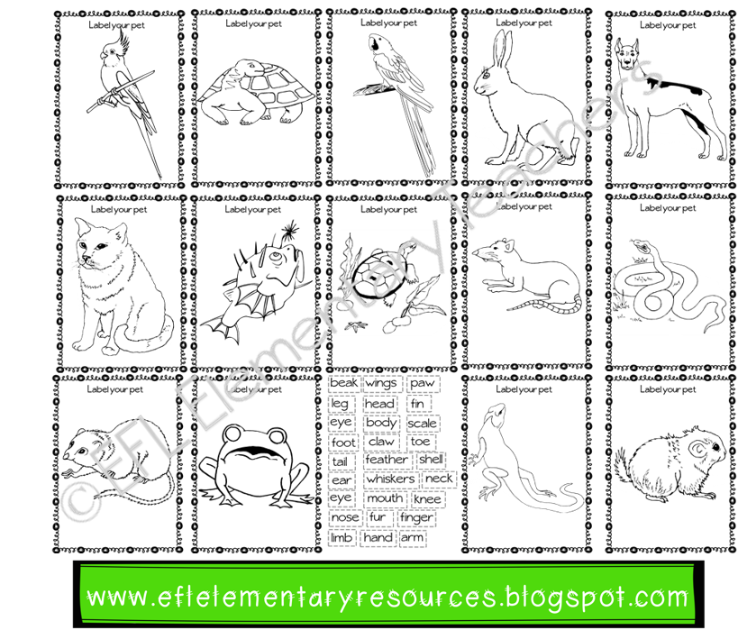 EFL Elementary Teachers: Pet theme for Elementary Language Learners