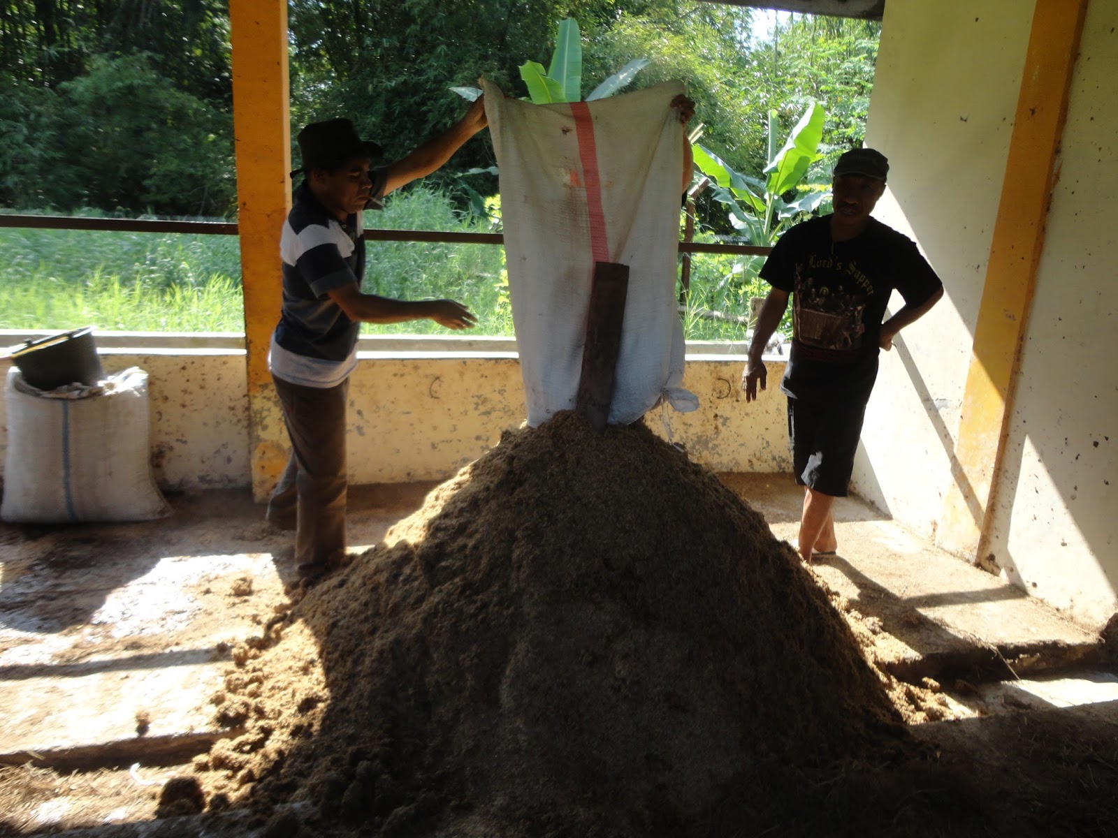 Jejak Penyuluh: Cara Membuat Arang Sekam