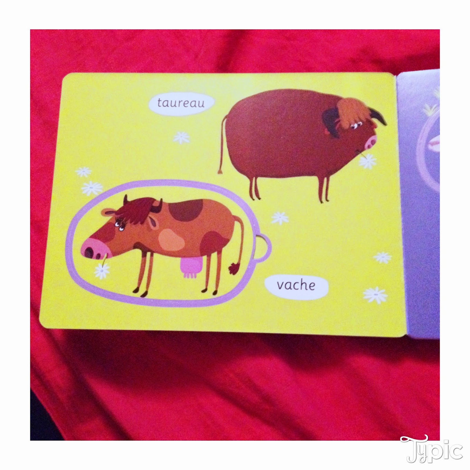 Découvre les couleurs et les animaux de la ferme [éveil]