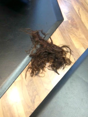 The Super Messy Supermommy: Long Hair Do Care.