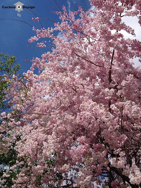 Cherry Tree Landscaping | How To Grade Landscape