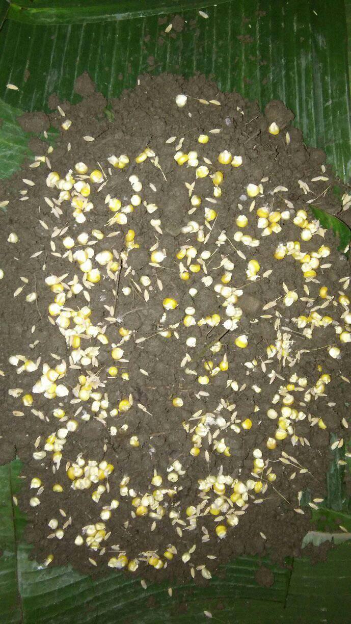 Bed : Jamara in Dashai