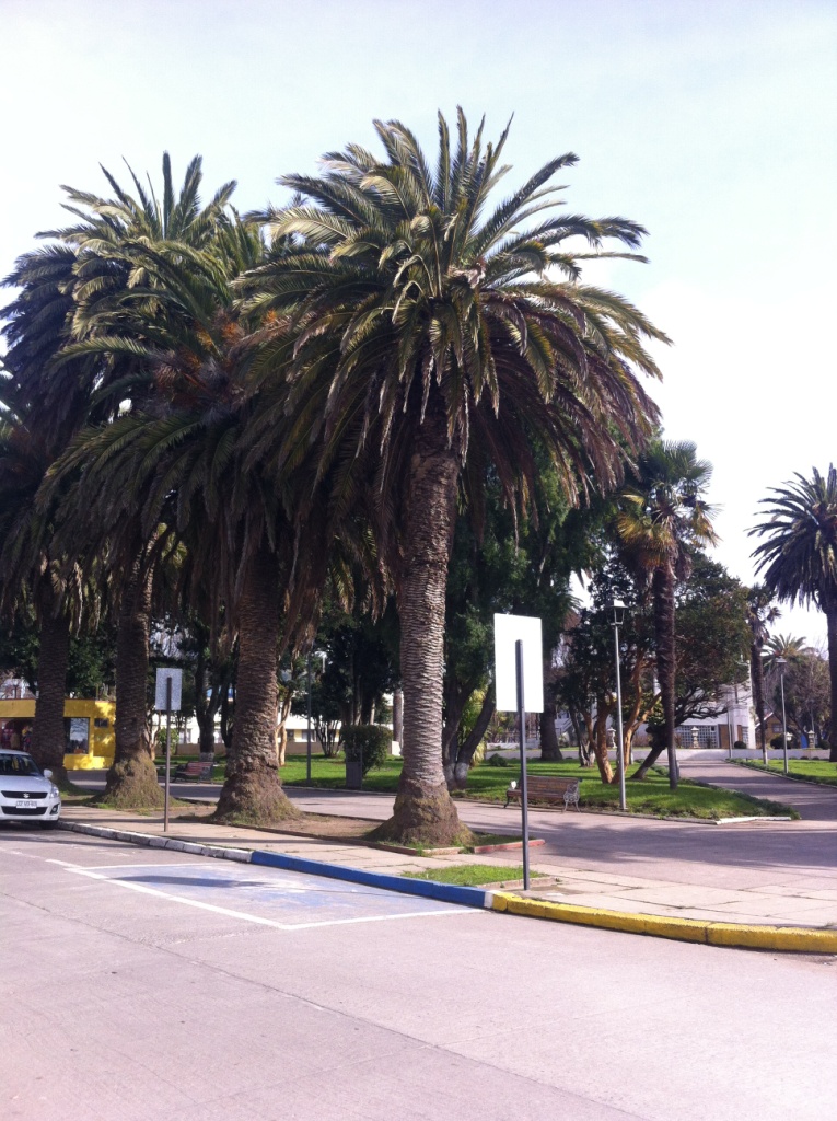 .: Fotos de la comuna de LEBU (Chile)