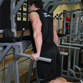 How to Build Muscle Fast: Best Exercises to Build Triceps