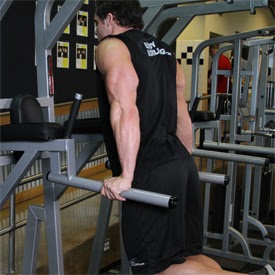 How to Build Muscle Fast: Best Exercises to Build Triceps