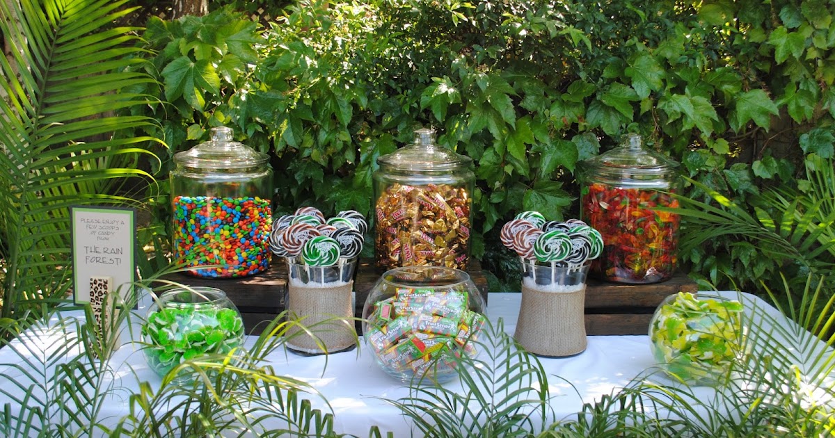 Jac o' lyn Murphy: The Rain Forest is SWEET!