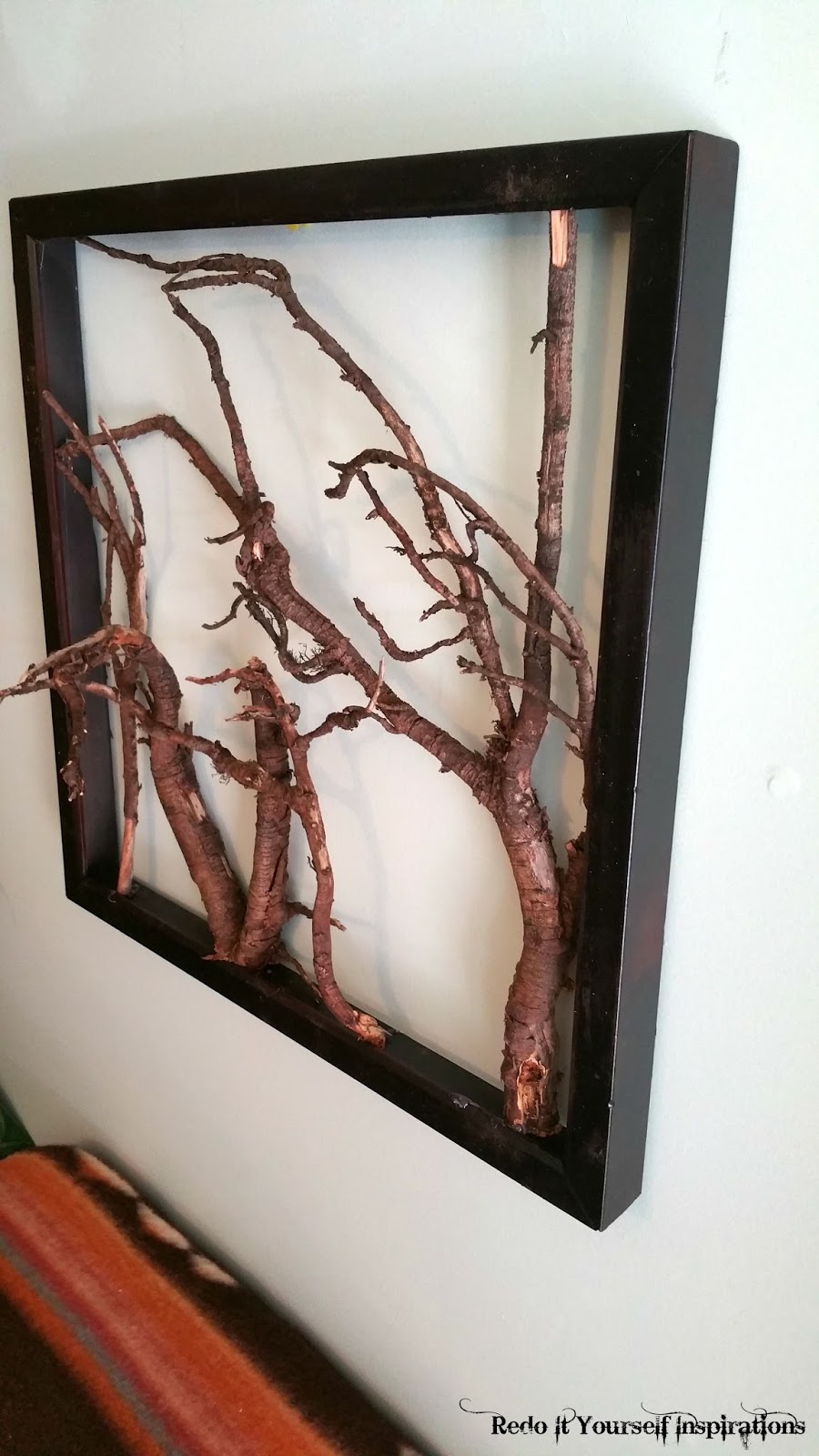 Framed Natural Tree Roots | Redo It Yourself Inspirations : Framed ...