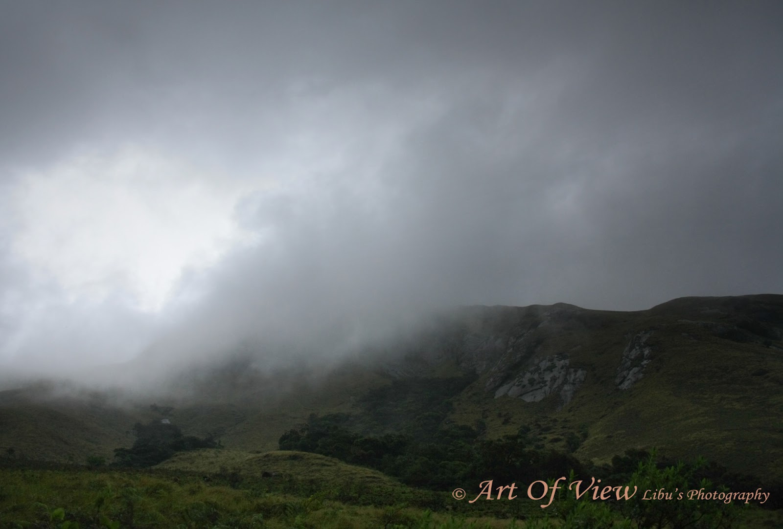 Raja Mala ( Eravikulam National Park) | Art Of View