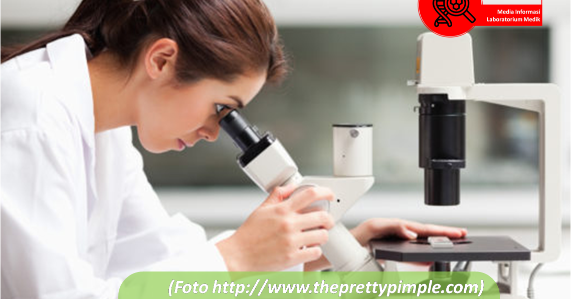 Contoh Hasil Tes Sedimen Urin