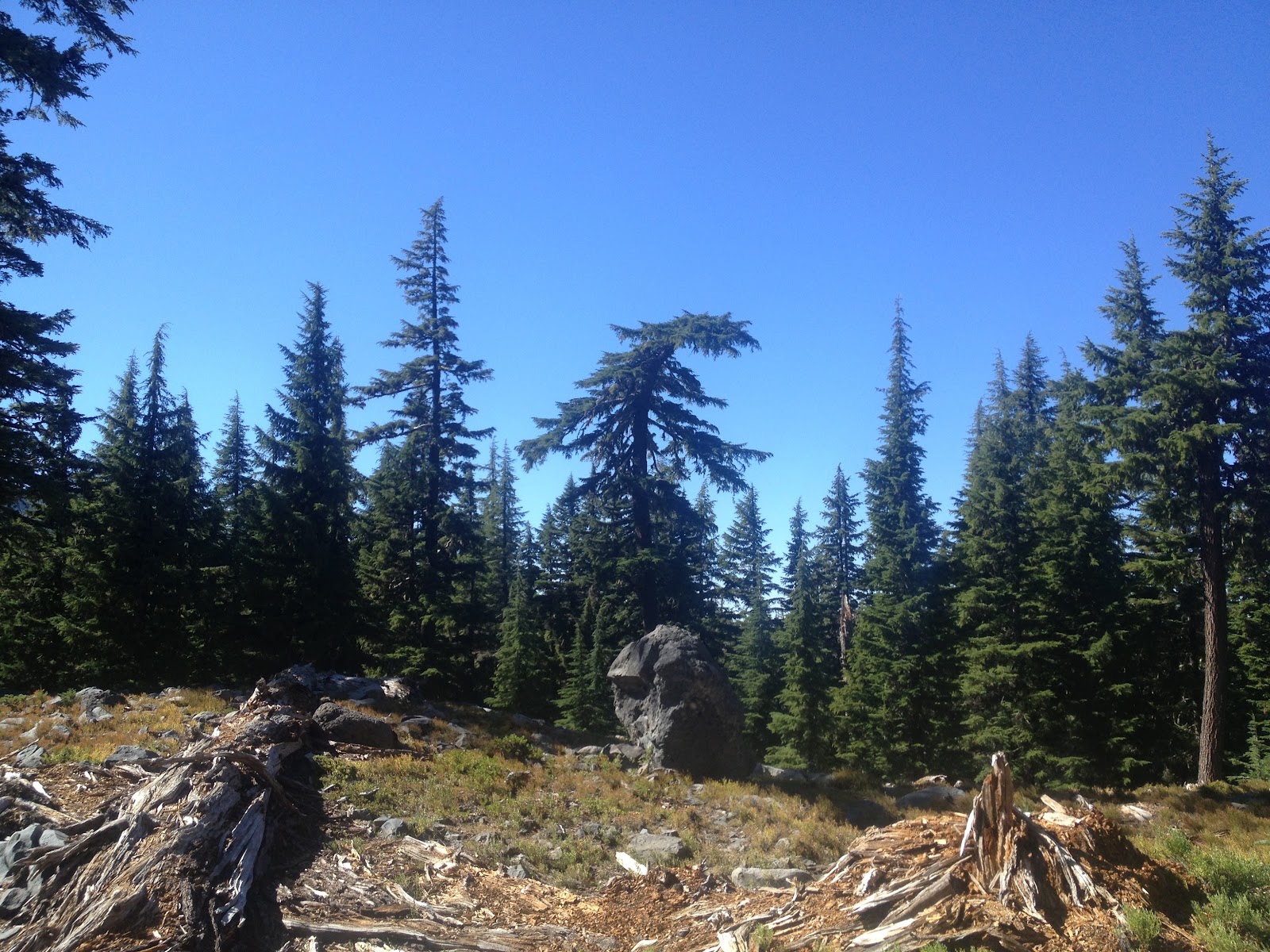 Mount Yoran Via the Divide Lake Trail
