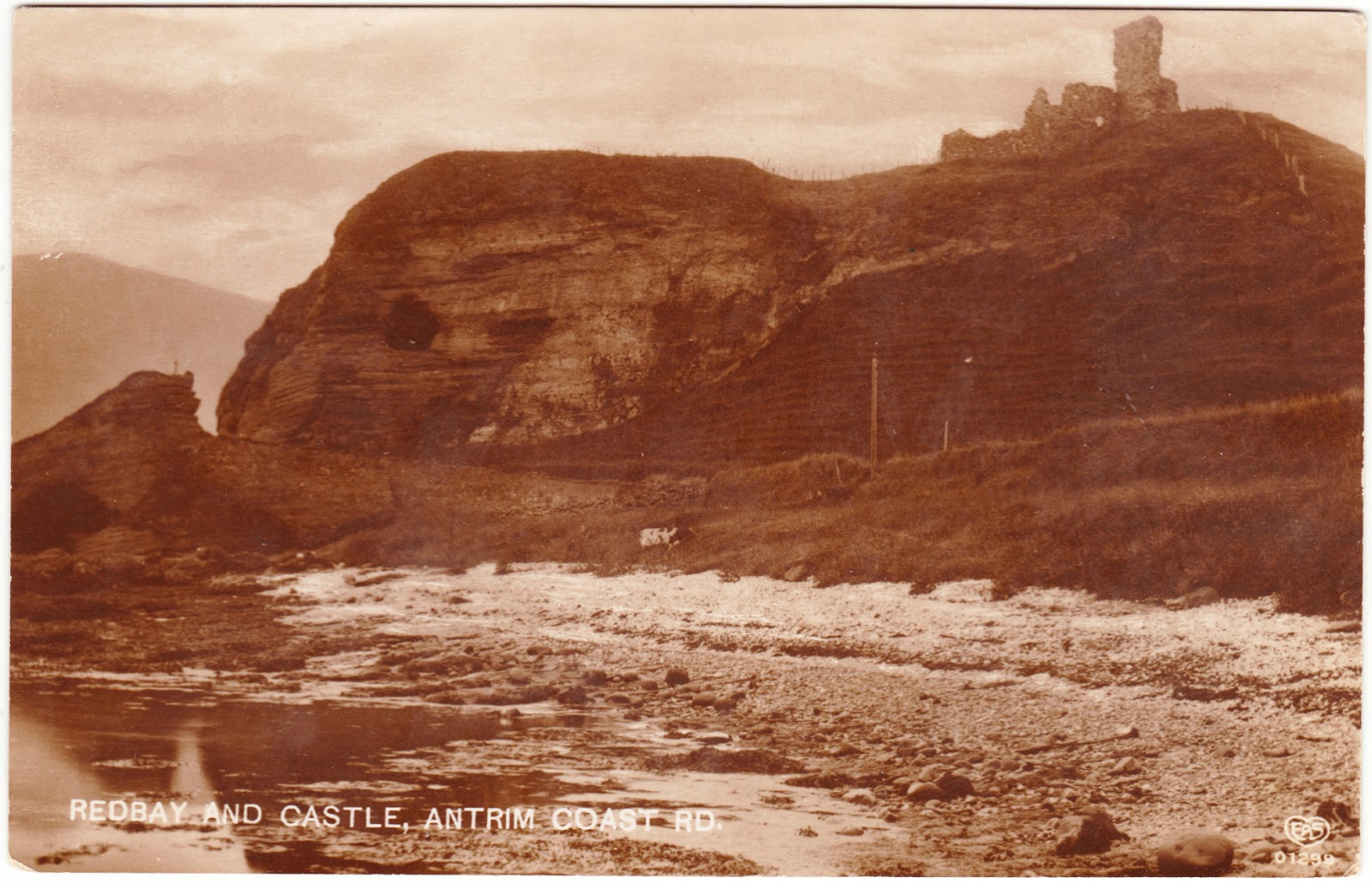 Papergreat: Postcard: "Redbay and Castle"