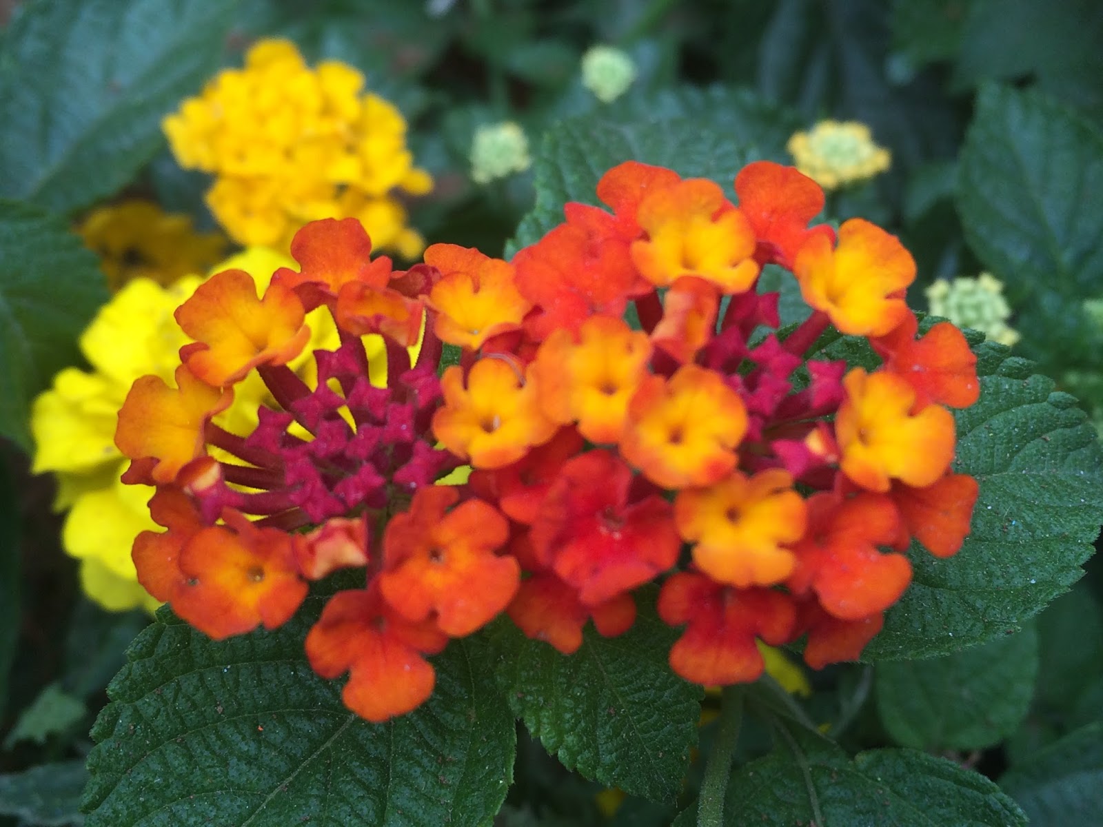 When the eyes can't capture everything: Anilag Festival 2018? Tara na ...