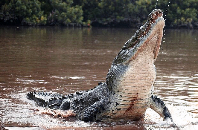 Maldoli Backwater - Amazing Maharashtra