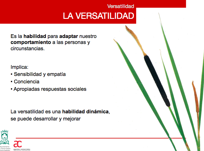 COMERCIALES EN FORM-ACCIÓN 2015: LA VERSATILIDAD EN LAS ENTREVISTAS ...