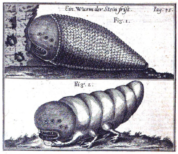 History of Geology: Cryptozoology and a geologist's nightmare - Vermes ...