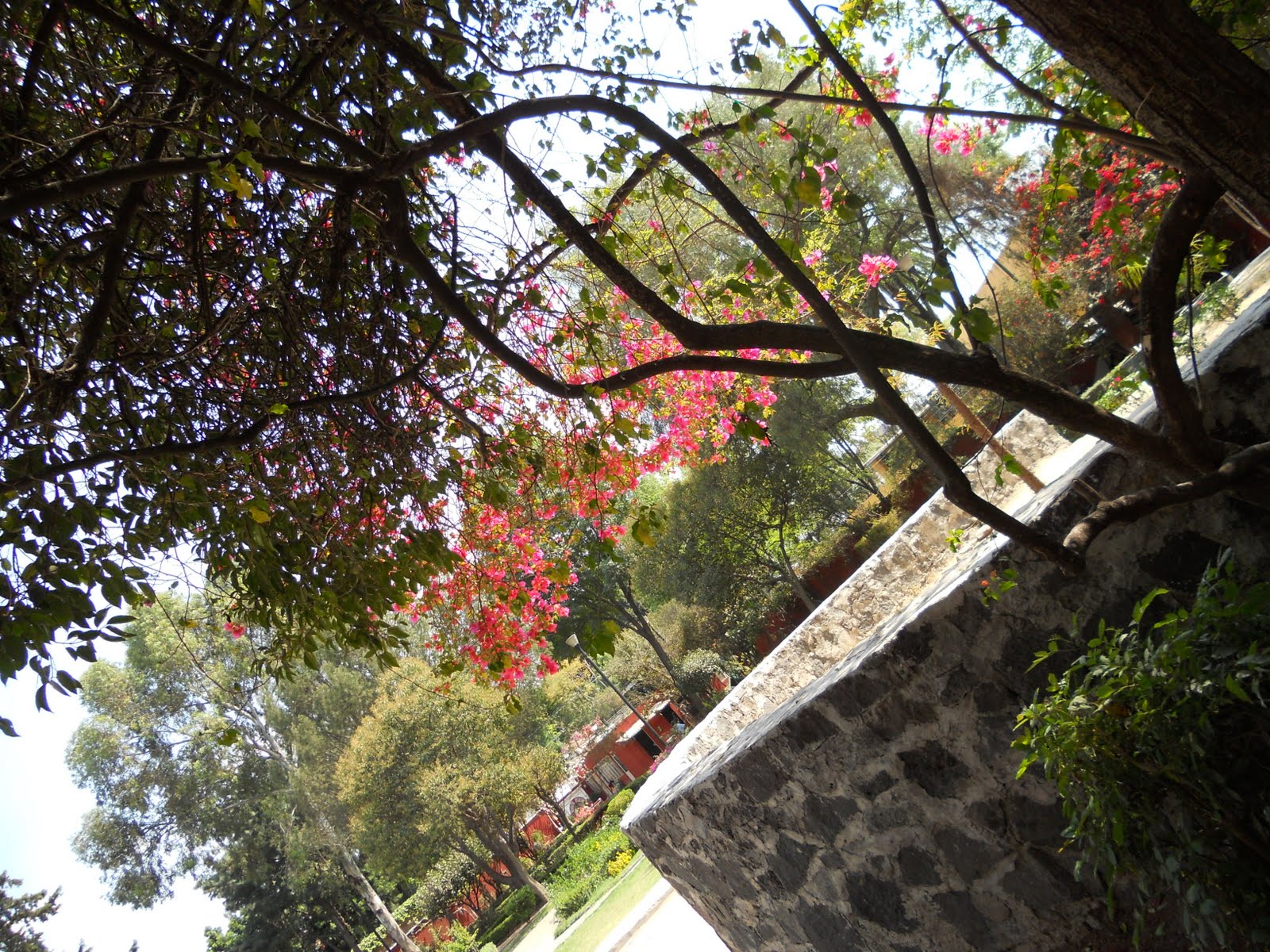 Citla au pays des Aztèques