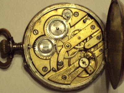 Rosa Rubicondior: The Teleological Fallacy or Paley's Broken Watch