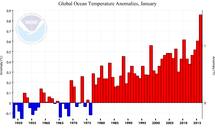 Arctic News: Arctic Winter Heatwave