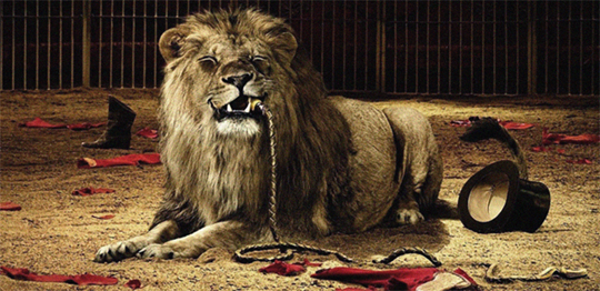 N U R B U R G R I N G: ¡Hay que alimentar a la fiera!