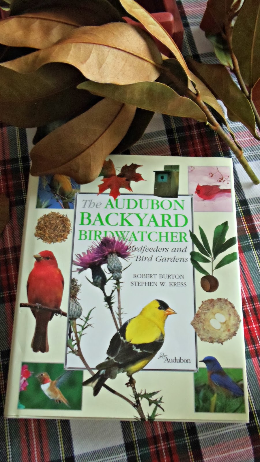 Upstairs Downstairs: January~Birds and Bulbs