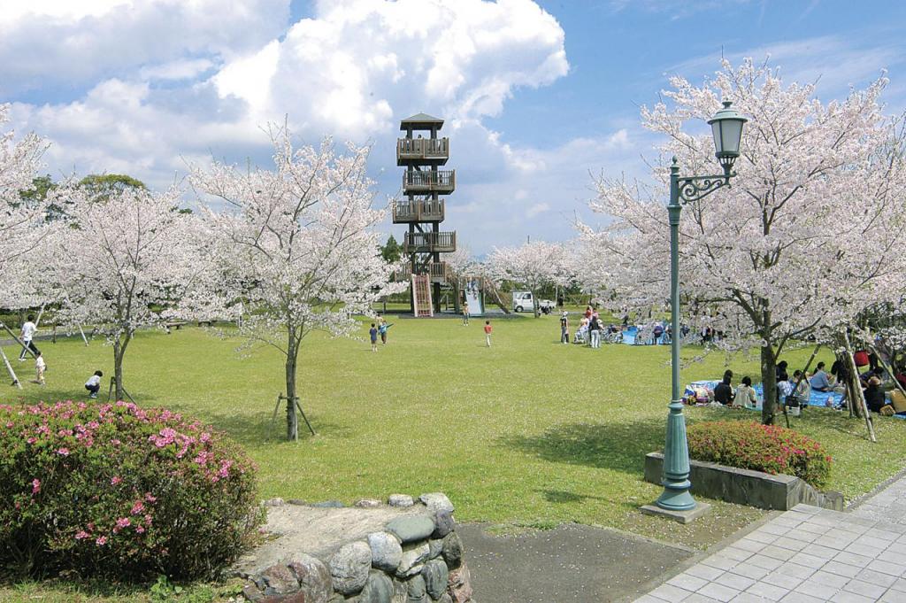 Explore JAPAN with Japanese tour leader : Shiroyama Park