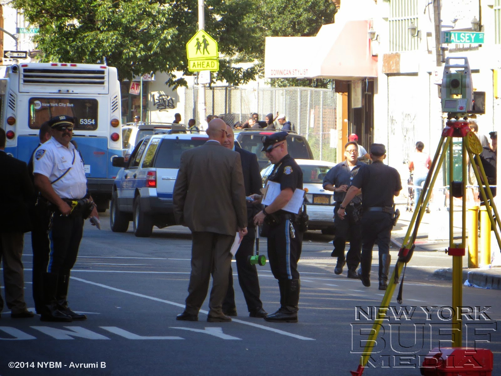 New York Buff Media: Woman Trying To Retrieve Cell Phone Hit, Killed By ...