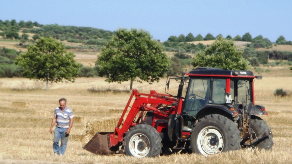 TRAVANCAS DA RAIA: julho 2015