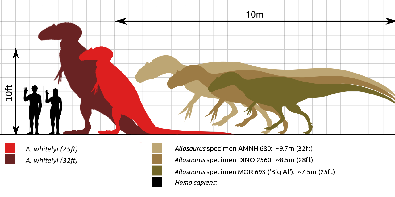 The Blog That Time Forgot: Dinosauria Caspakensis: Allosaurus whitelyi