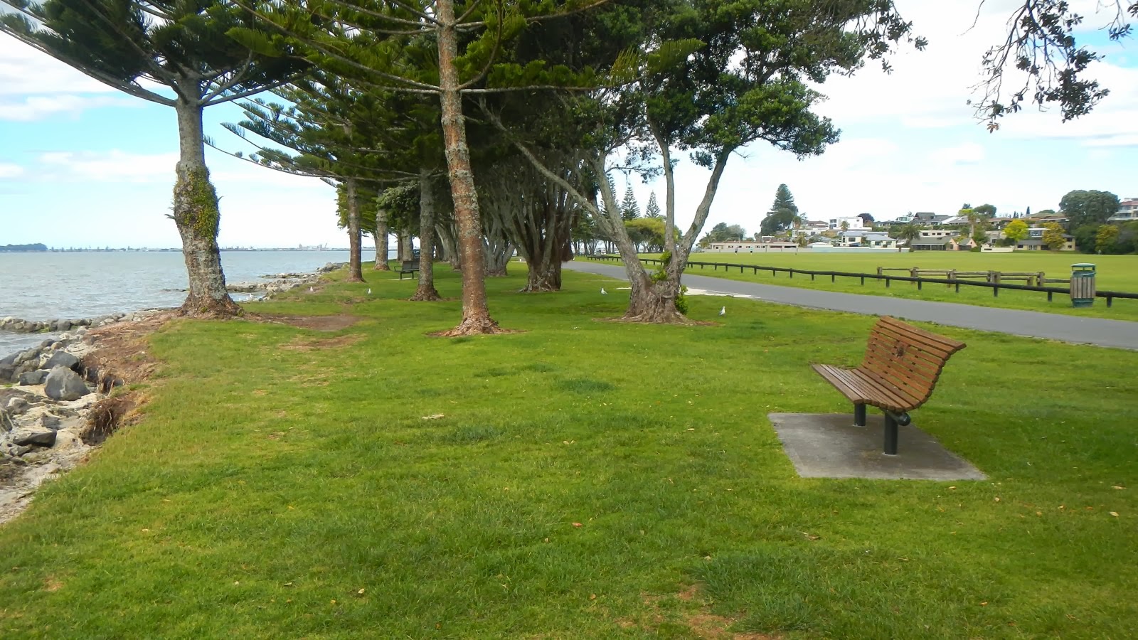 Licorice Allsorts: Tauranga... Free Parking at Fergusson Park