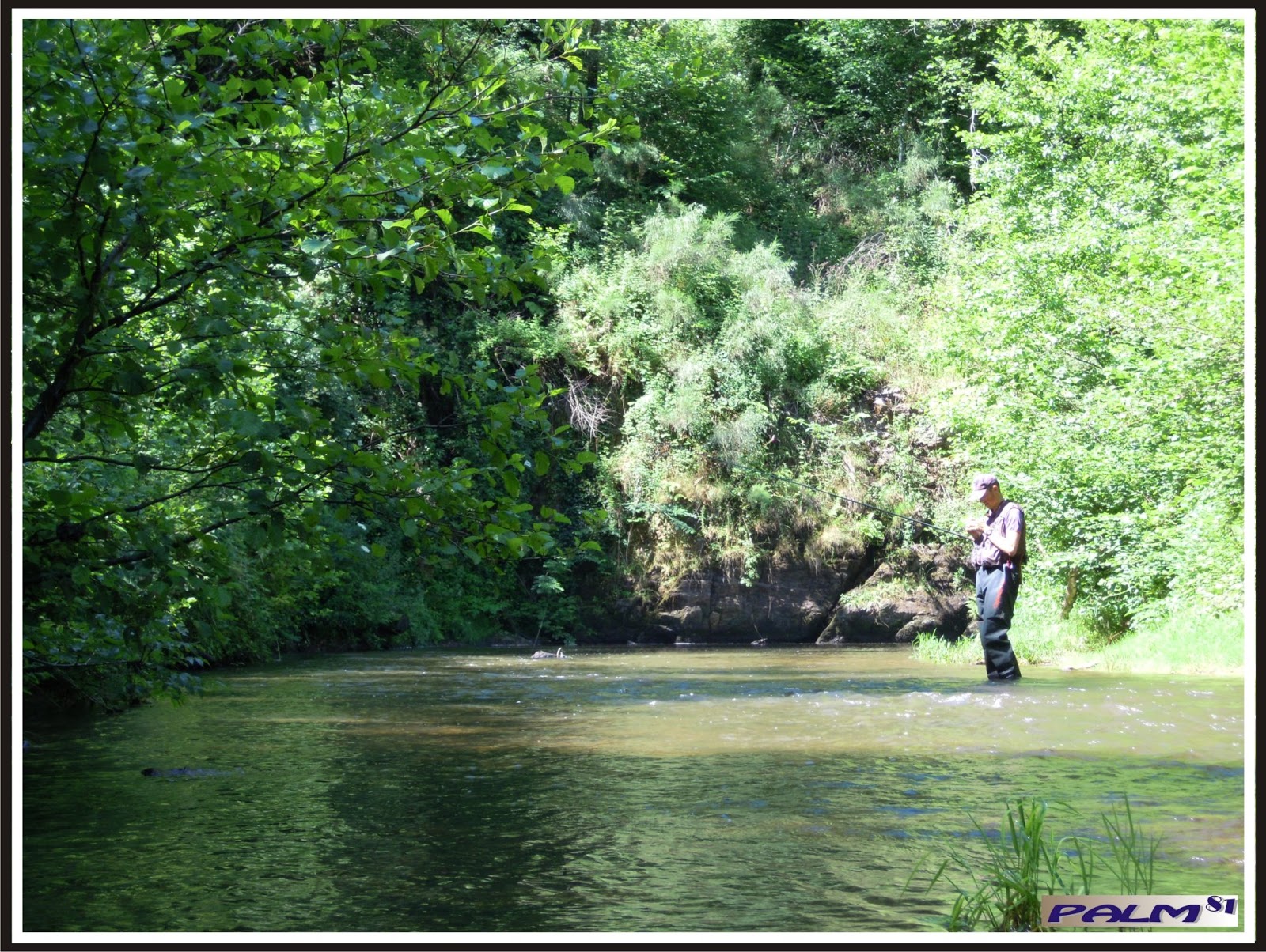 PALM 81 : 3 Rivières ...