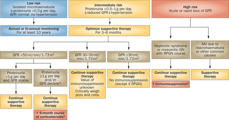 Treatment of IgA Nephropathy - Update - Renal Fellow Network