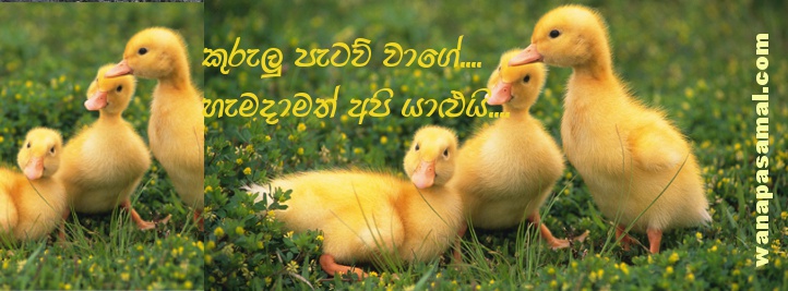 Beautiful Facebook Cover Photos: Friends - Facebook Cover Photos