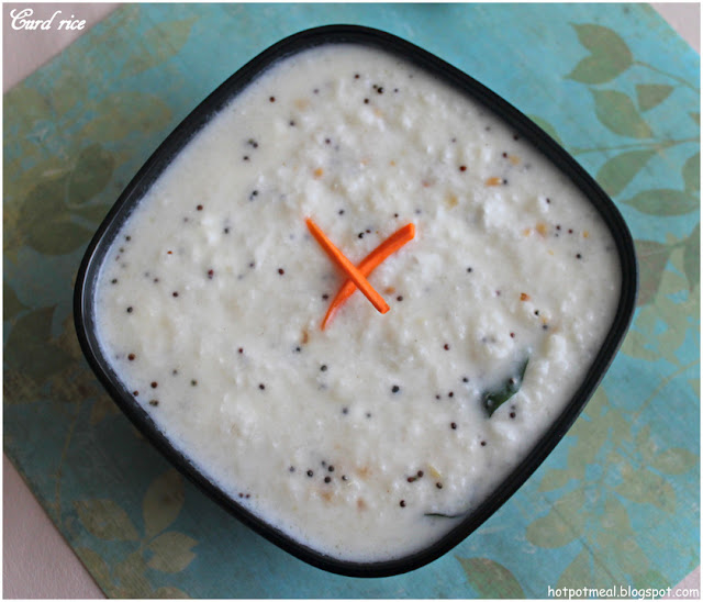 Hot pot cooking: Yogurt rice | Curd rice / Homemade yogurt