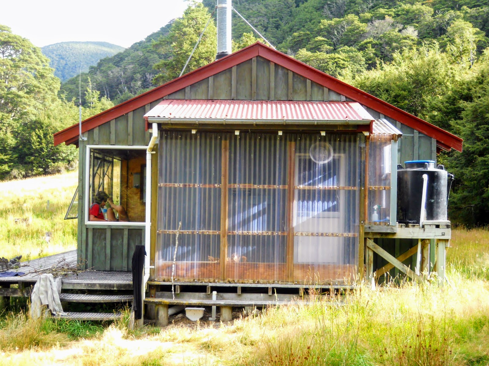 Tramping in the New Zealand backcountry: NZ Bush Adventures: Whats in a ...