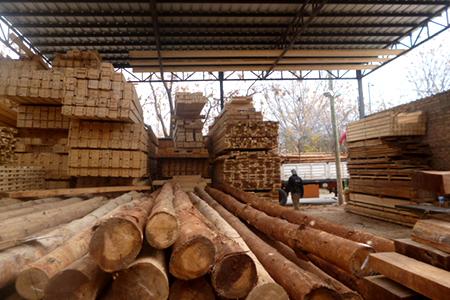 Maderera en Comodoro Rivadavia ~ Portal de Noticias y Trabajos