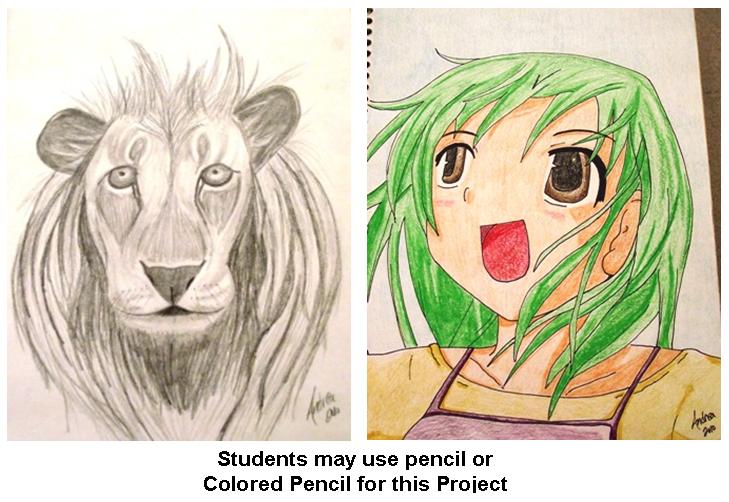 Mrs. Shepherd's Fabulously Amazing Art Class: Drawing Projects