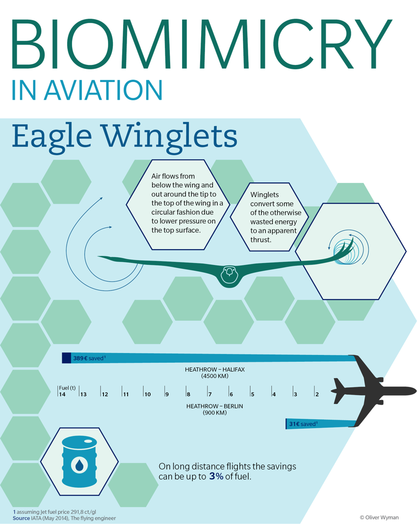 Stem Biomimicry Eagle Winglets : biomimicry Eagle Winglets