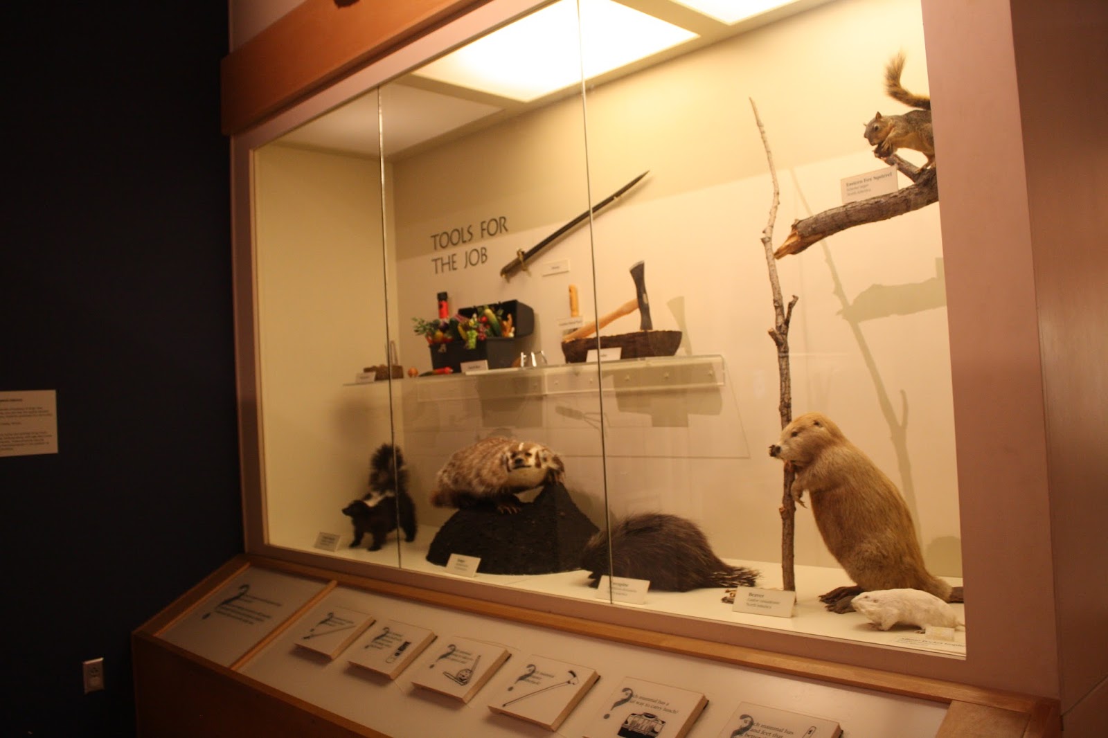 A Little Time and a Keyboard: Exploring Science and Local History at ...