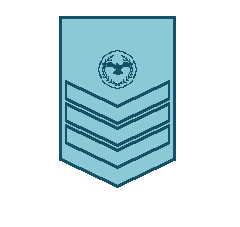 Senarai Pangkat Dalam Tentera Udara Diraja Malaysia (TUDM)