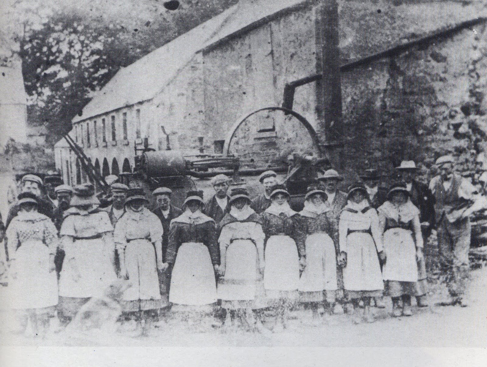 Country Standard: Scottish Farm Servants' Union - Established 1913