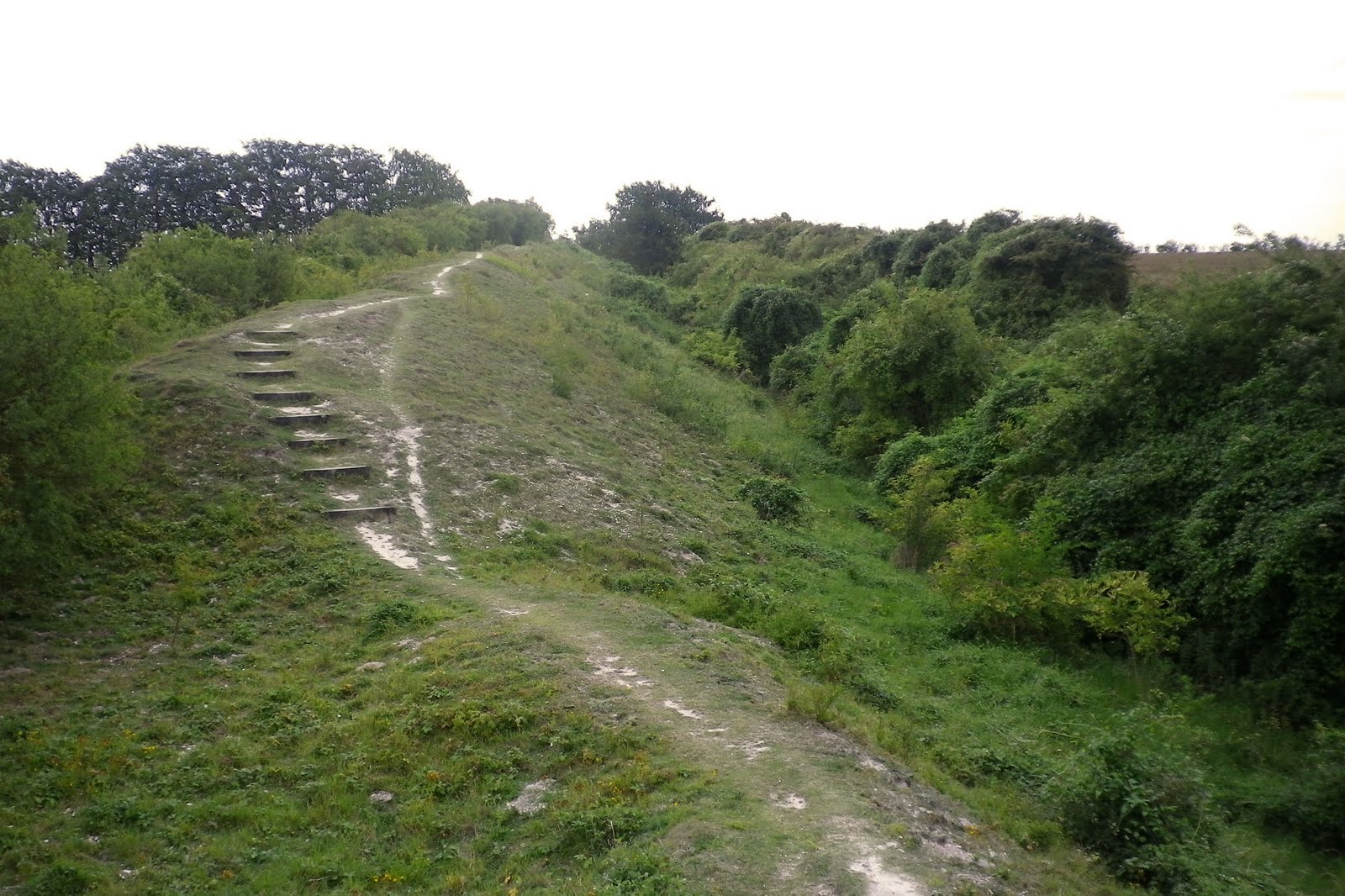 "By Stargoose And Hanglands": A Walk Along The Fleam Dyke