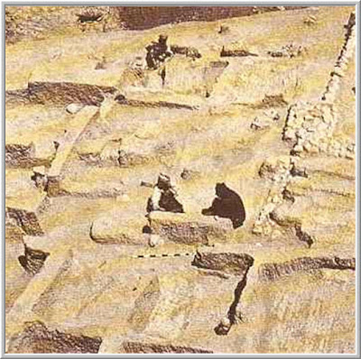 S T R A V A G A N Z A: THE BEGINNINGS OF AGRICULTURE