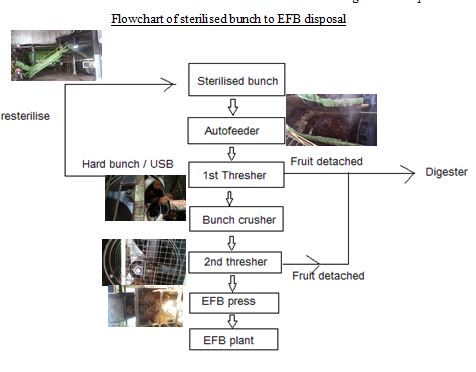 Sharing station: Thresher and EFB press