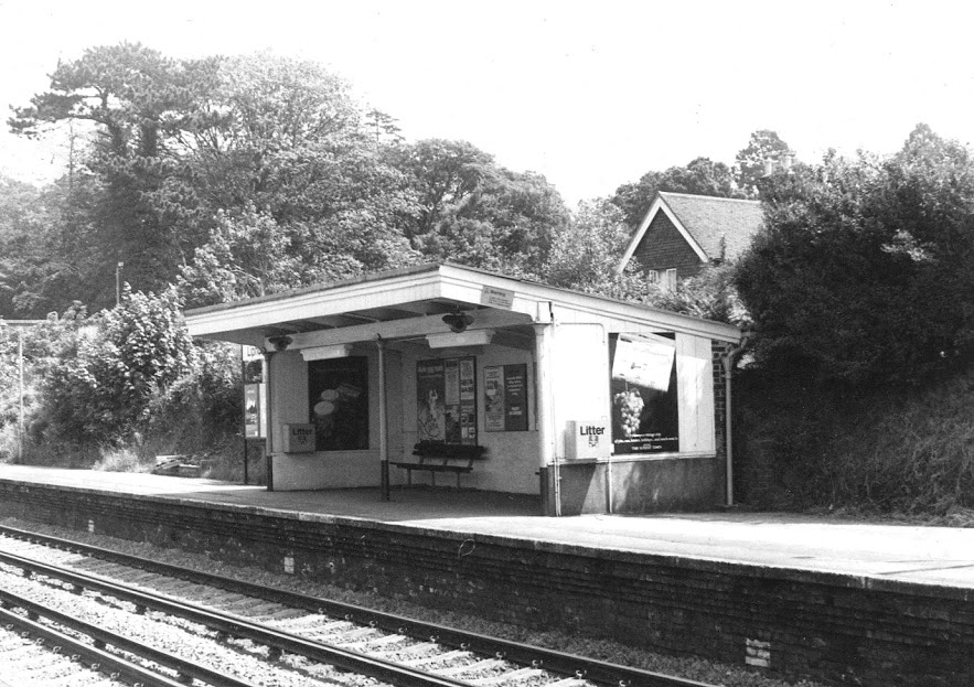Rail Thing - Southern Region: Liphook 1977