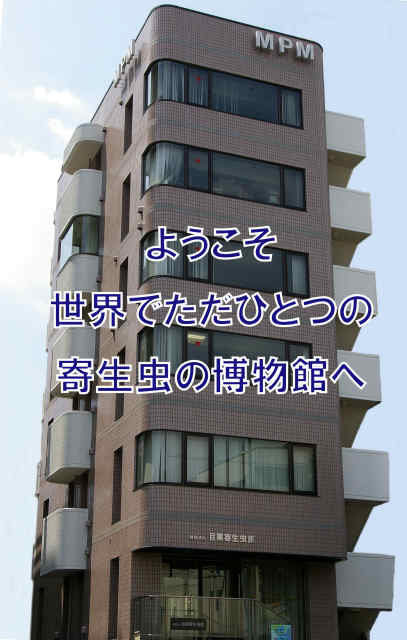 And I Think to Myself...What A Wonderful World.: Bio-Spot: The Meguro ...