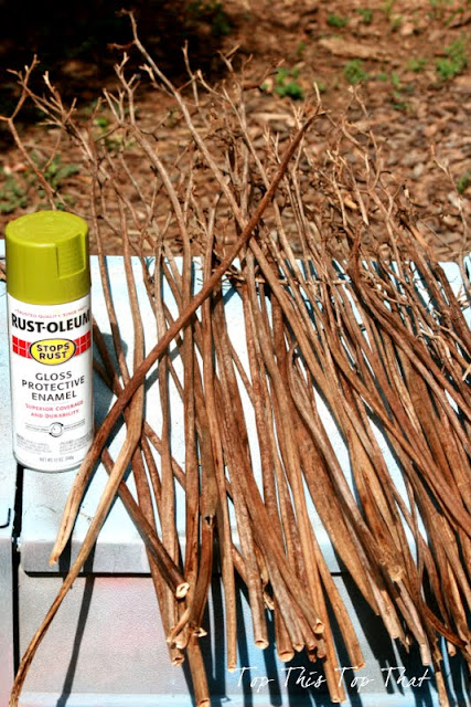 Cleaning out dead stems from my garden and using them as décor in my home