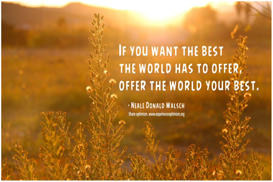 Experience Optimism: 2016