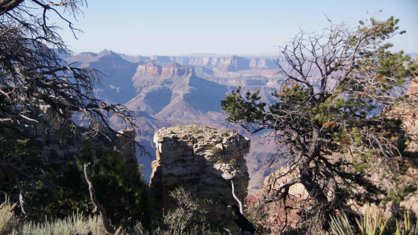 Incultus: A trip part six